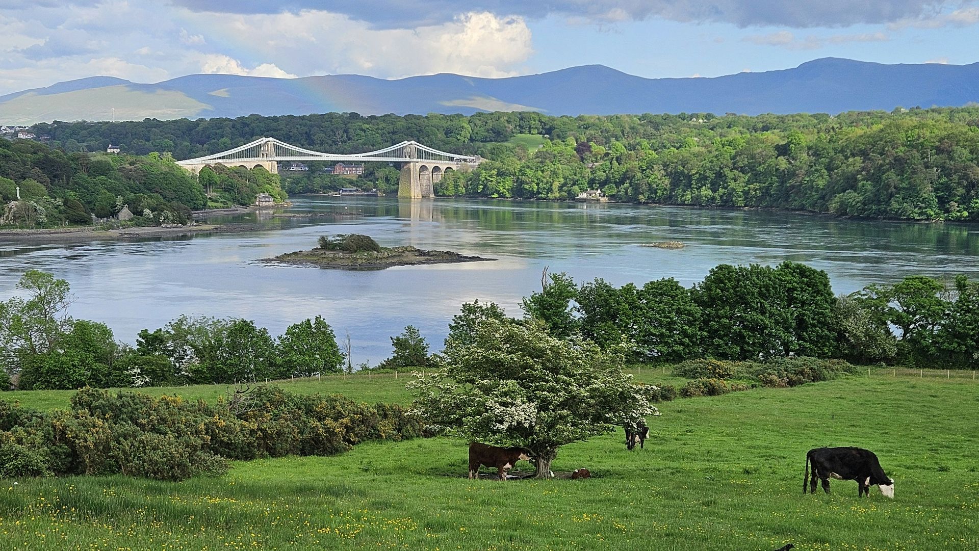 The Anglesey Arms | Explore and discover Anglesey near Bangor